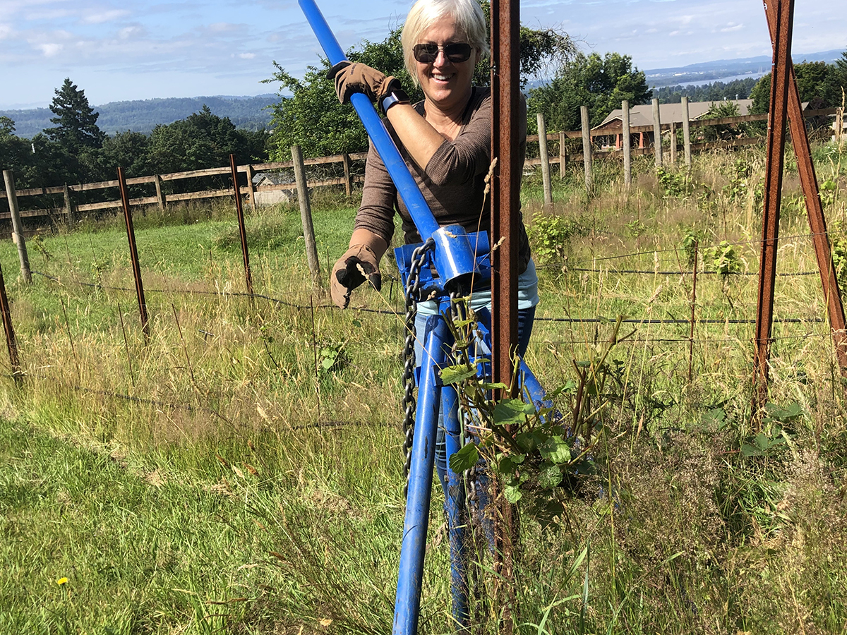 Discover The #1 T-Post Removal Tool On The Market - NW Quik Pull Fence ...